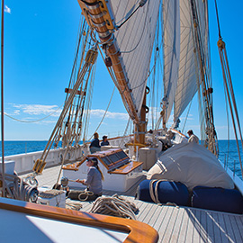 boat – Georgian Harbour Yacht Sales